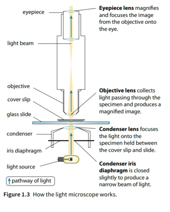Environmental Science Archives Biology Notes